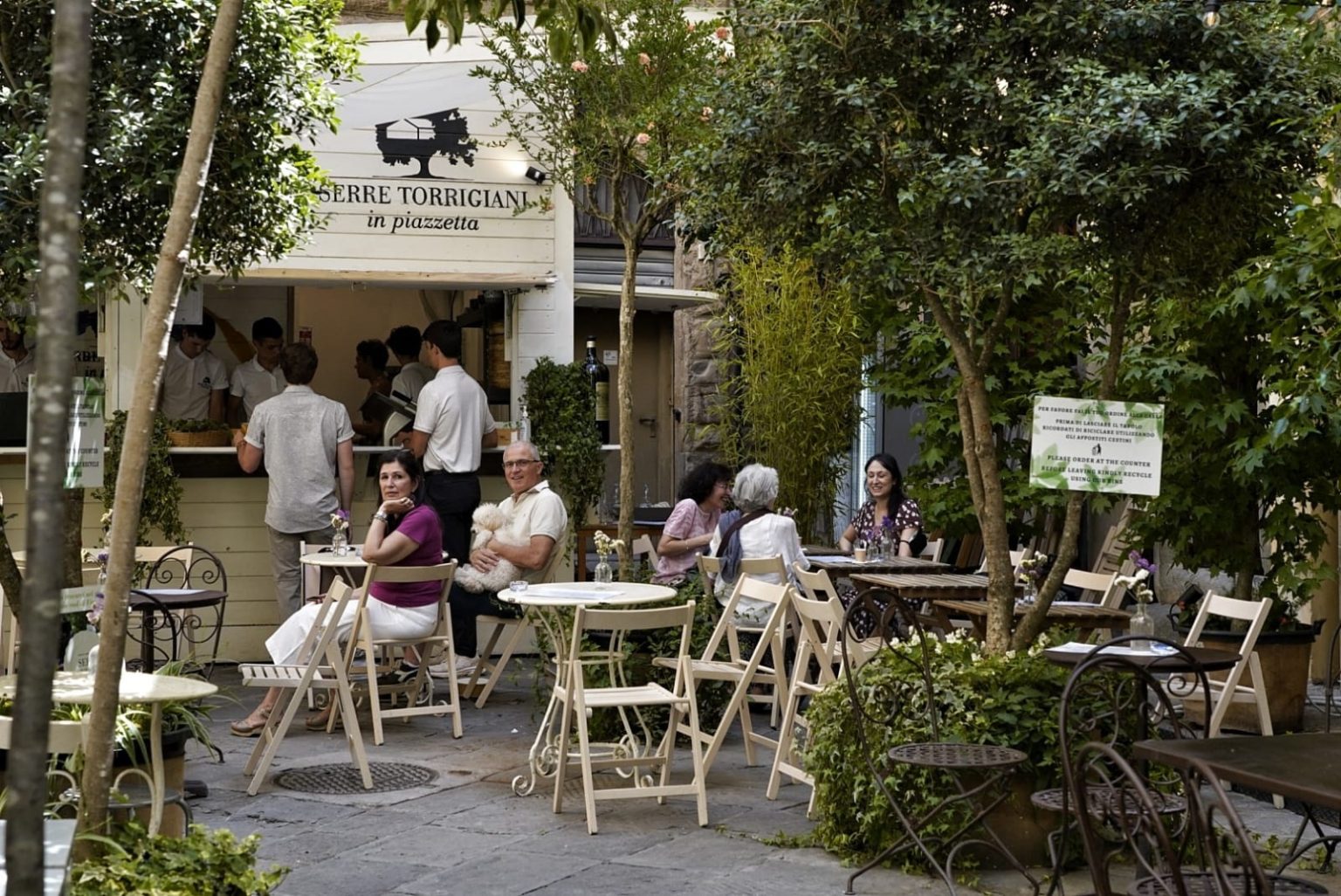 Serre torrigiani in piazzetta: un'esperienza unica nel verde, nel ...