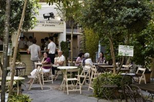 Serre torrigiani in piazzetta: un'esperienza unica nel verde, nel ...