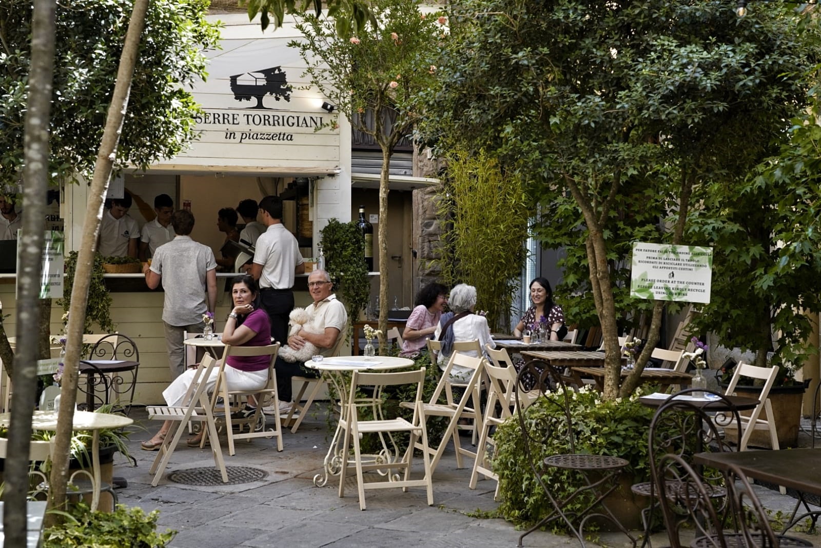 Serre torrigiani in piazzetta: un'esperienza unica nel verde, nel ...